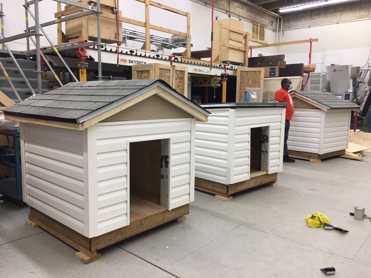 Essential Skills and Carpentry Training: Helping Animals in Need – AWES