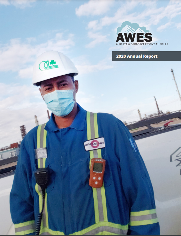 Annual reports – AWES